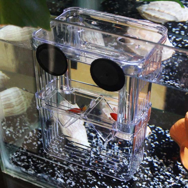 FISH BREEDING BOX Incubator Ornamental Aquarium Accessories Tropical ...