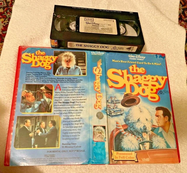 WALT DISNEY'S THE SHAGGY DOG Fred MacMurray, Annette Funicello, Disney ...