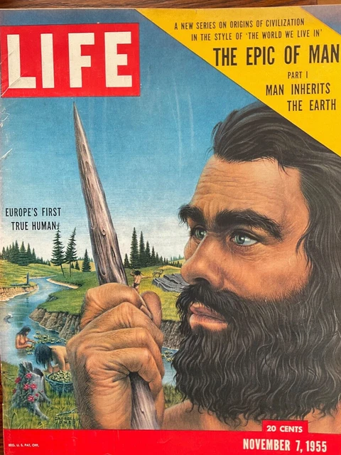 LIFE NOV 7 1955: Saar elections, IRA vs UK, Einstein Medical School ...