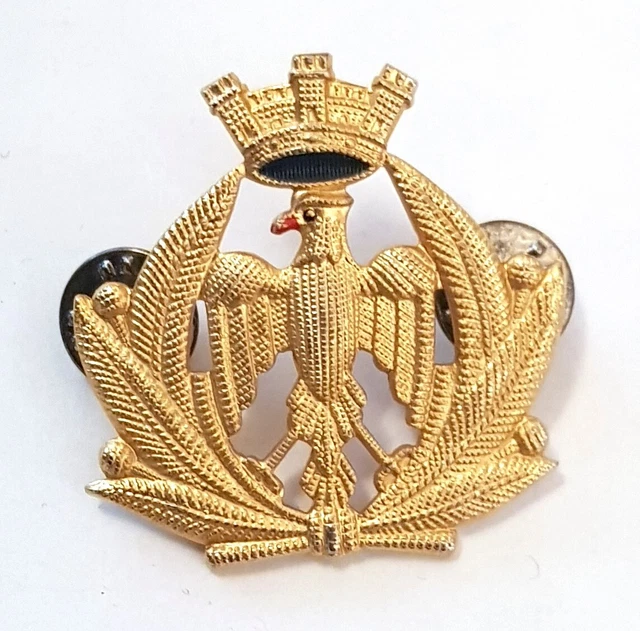 AERONAUTICA MILITARE FREGIO Da Berretto Distintivo Fregio Da Basco ...