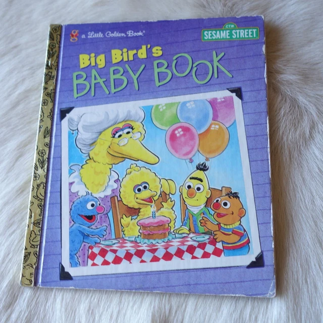 SESAME STREET BIG BIRDs BABY BOOK Tom Brannon 1998 Vtg Sesame Street ...