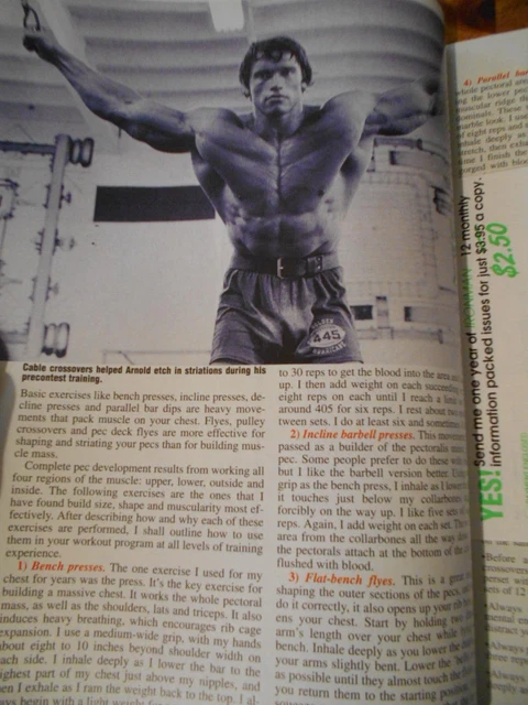 IRONMAN MAGAZINE DE musculation FLAVIO BACCIANINI/Grande affiche Cory ...