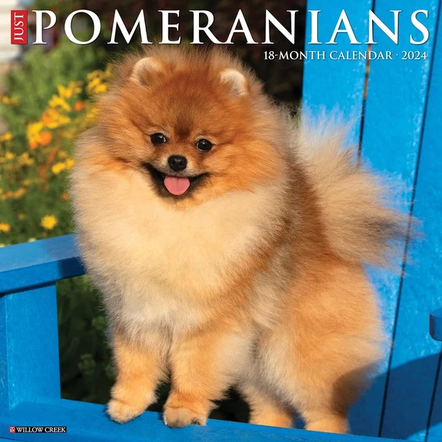 JUSTE POMERANIANS - 2024 Calendrier Mural - Tout Neuf - 34958 EUR 18,95 ... JUSTE POMERANIANS - 2024 Calendrier Mural - Tout Neuf - 34958 EUR 18,95 ...