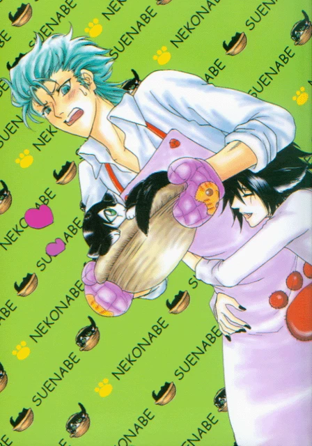 BANDE DESSINÉE BLEACH Doujinshi Grimmjow x Ulquiorra Di Roy Yylfordt ...