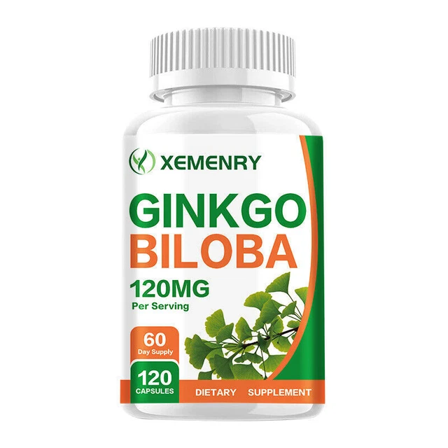 GINKGO BILOBA 120MG - Memory, Mental Focus & Alertness, Brain Booster ...