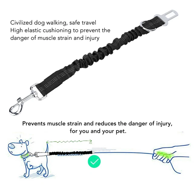 DOG LEASH EXPLOSION Proof Retractable Bungee Dog Training Leash For ...