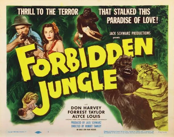 FORBIDDEN JUNGLE LOBBY Card Don Harvey Alyce Louis 1950 OLD MOVIE PHOTO ...