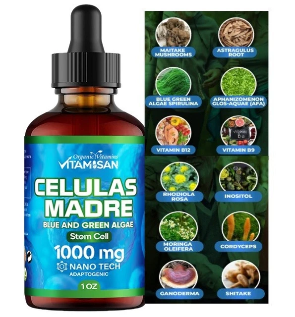 Natural Stem Cell Support For Joints Brain Health Regenex Stem Cell ...