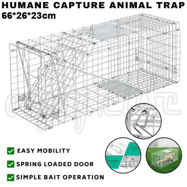 HUMANE POSSUM FERAL Cage Trap Cat Rabbit Bird Animal Dog Hare Fox Live ...