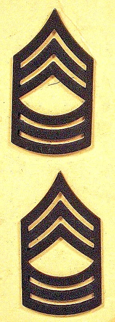 US ARMY MASTER Sergeant Subdued Rank Insignia Collar Pins Pair EUR 13 ...