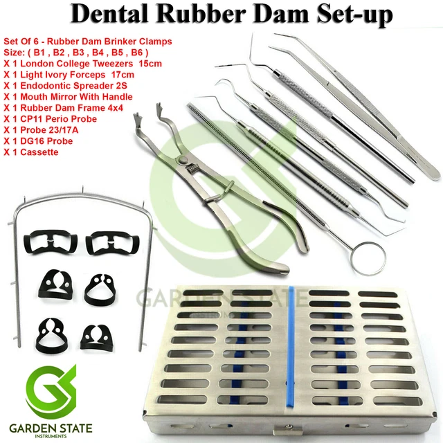15PCS DENTAL RESTORATIVE Kit Rubber Dam Clamp Forceps Root Canal Scaler ...