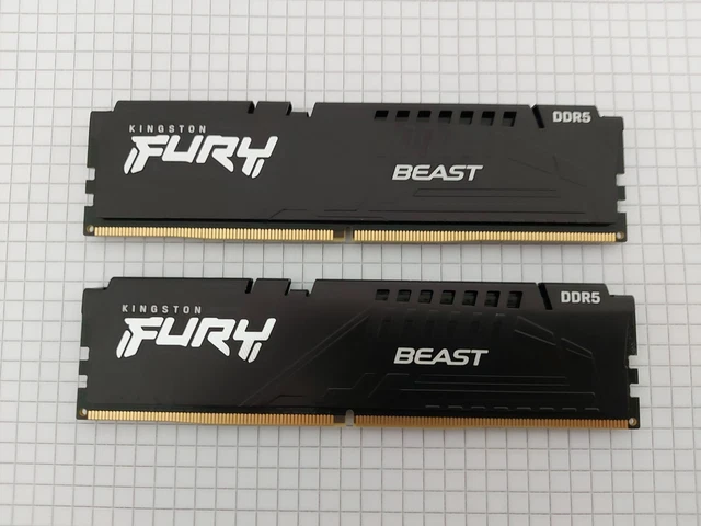 KINGSTON FURY BEAST 32 GB DDR5 5600 RAM (2x 16 GB) Dual-Kit ...