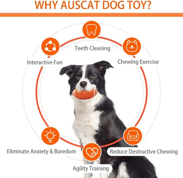 SQUEAKY DOG FOOTBALL Toy for Aggressive Chewers, Tough Rubber Dog Ball ...