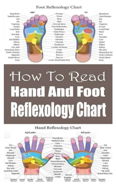 HOW TO READ Hand and Foot Reflexology Chart: a Complete Guide for ...