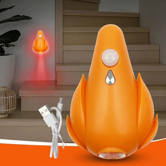 HUMAN BODY DETECTION Toilet Seat Lights Motion Sensor Light Stair ...