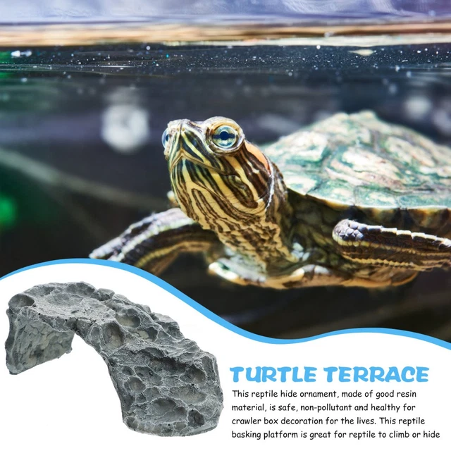 REPTILE RESIN HIDE Cave Basking Hideouts Bearded Dragon Rocks for $28. ...