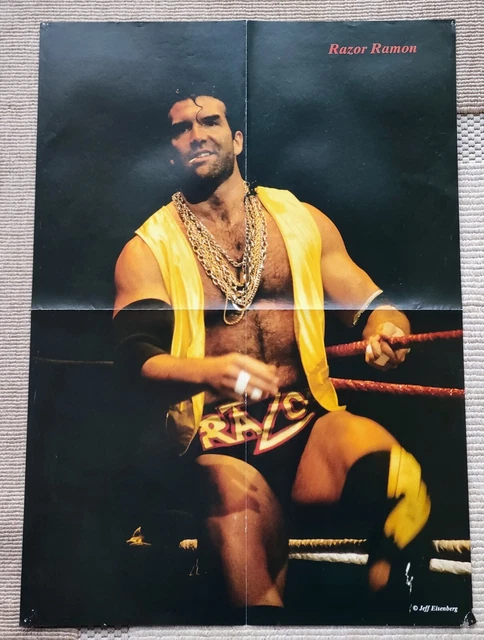 2 WWF WRESTLING Riesen Poster Razor Ramon & Shawn Michaels 58*42 cm ...