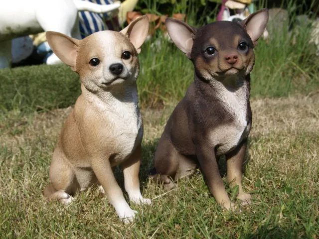 Deko Hund Lebensgro