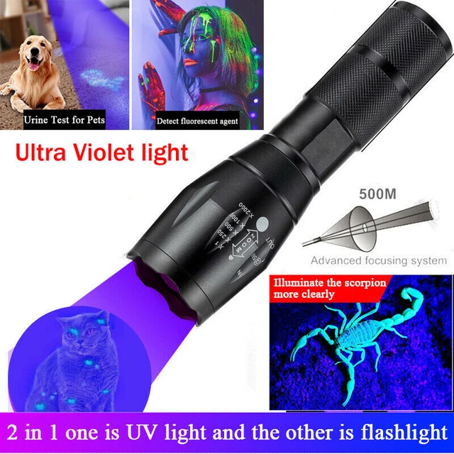 2IN 1 UV Light Ultraviolet LED Flashlight Inspection Torch 395nm ...