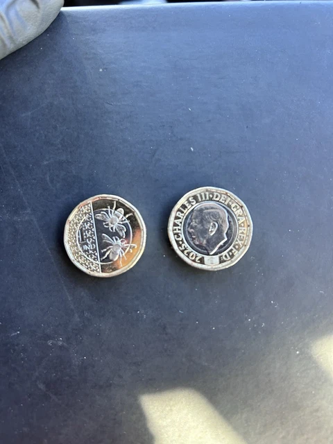 KING CHARLES III 2025 £1 Coins £5,586.70 - PicClick UK