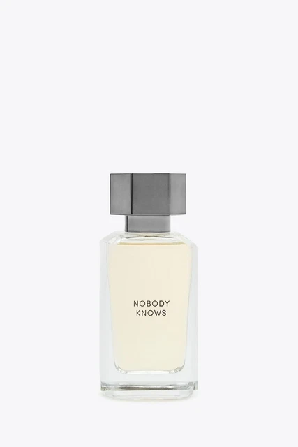 ZARA INTO THE Wood N.1 Nobody Knows Women Fragrance Perfume 100ml New 3 ...