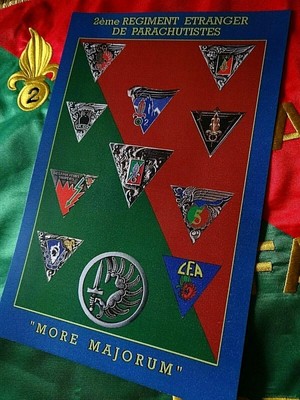 FOREIGN LEGION-MILITARY DRAWING ON PARATROOPER INSIGNIA 2°R.E.P.-REPRO ...