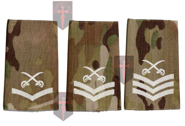 PAIR OF MULTICAM MTP PTI Rank Slide Physical Training Instructor - LCPL ...