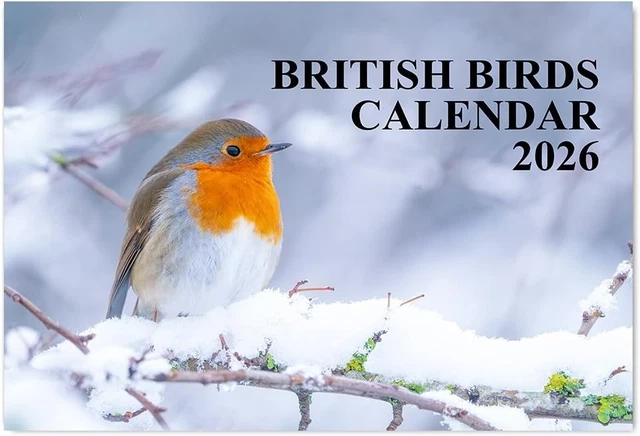 BRITISH BIRDS CALENDAR 2026 A4 12 Month to View Wall Calendar 2026 ...