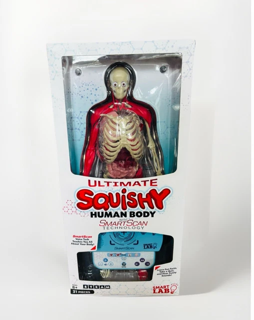 SMART LAB ULTIMATE Squishy HUMAN SKELETON BODY Science Anatomy set ...