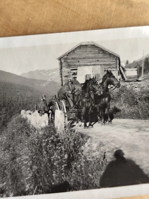 GJØRA GJÖRA OPPDAL Soldaten Pferde Norwegen Foto 2.WK F17 EUR 3,99 ...