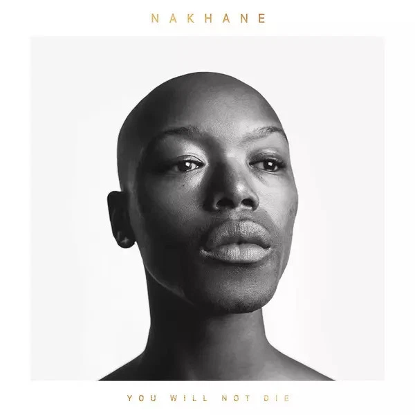 YOU WILL NOT Die, Nakhane Touré EUR 14,91 - PicClick FR