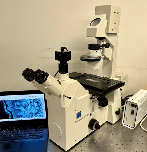 ZEISS AXIOVERT 100 TV Inverted Fluorescence Phase Microscope Camera ...