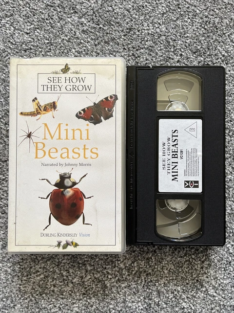 SEE HOW THEY Grow Mini Beasts VHS £0.99 - PicClick UK