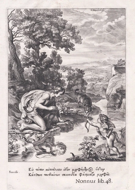 NARCISSUS NARCISSUS FLOWER Mythology Greek Mythology Diepenbeeck ...