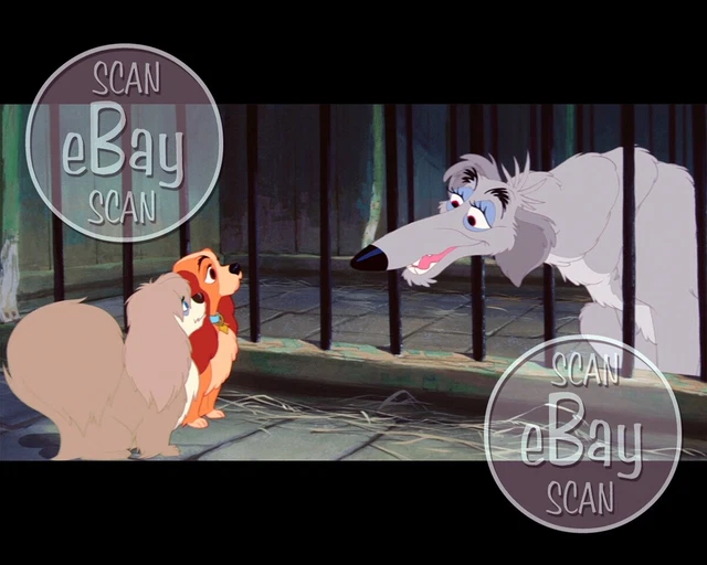 RARE! WALT DISNEY'S LADY AND THE TRAMP Cartoon Color 8 X 10 Photo PEG ...