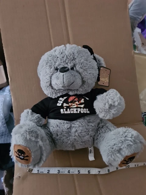 CORAL ISLAND BLACKPOOL Pirate Teddy Bear Cuddly 11" Plush Soft Toy Bear ...