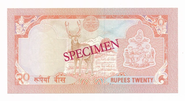 NEPAL 20 RUPEES Sign Hari Shankar Tripathi (1990-1995) SPECIMEN Note P ...