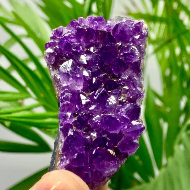 54G GÉODE D'AMÉTHYSTE naturelle grappe quartz spécimen cristal guérison EUR 0,92 - PicClick FR