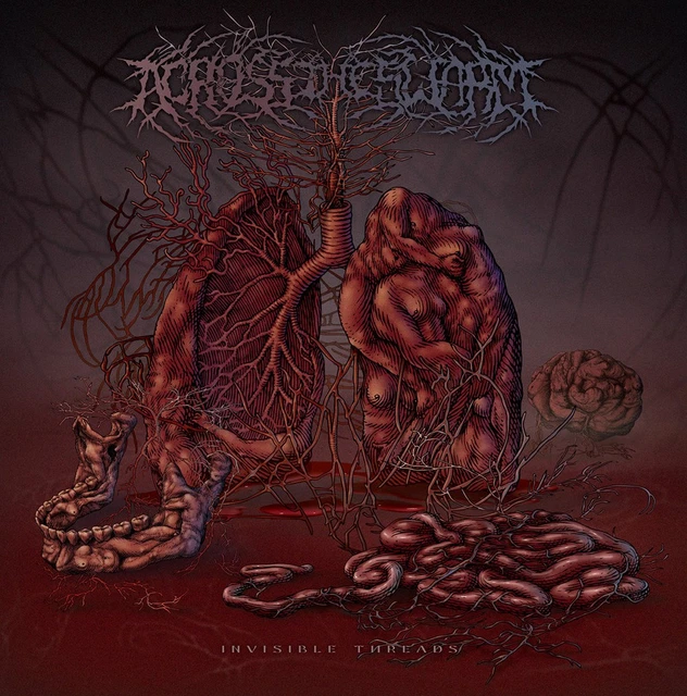 ACROSS THE SWARM - invisible threads DigiCD EUR 12,99 - PicClick DE