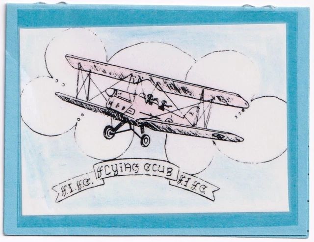 UNUSUAL RAF HANDMADE Certificate Falkland Island Flying Club Air Force ...
