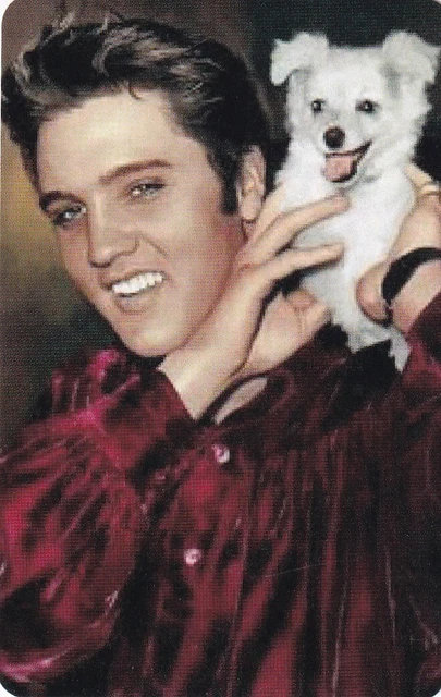 1 SWAP PLAYING card elvis presley & Edmund his Pomeranian dog $2.50 ... 1 SWAP PLAYING card elvis presley & Edmund his Pomeranian dog $2.50 ...