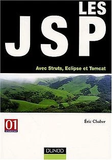 LES JSP - Avec Struts, Eclipse et Tomcat de Eric Chaber | Livre | état très bon EUR 6,98 ...