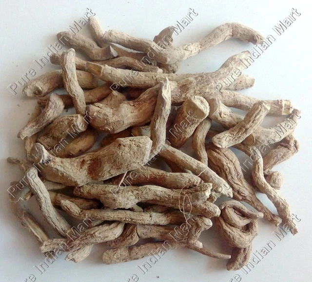SARPAGANDHA RAUWOLFIA SERPENTINA Rauvolfia Serpentine Indian Snake Root ...