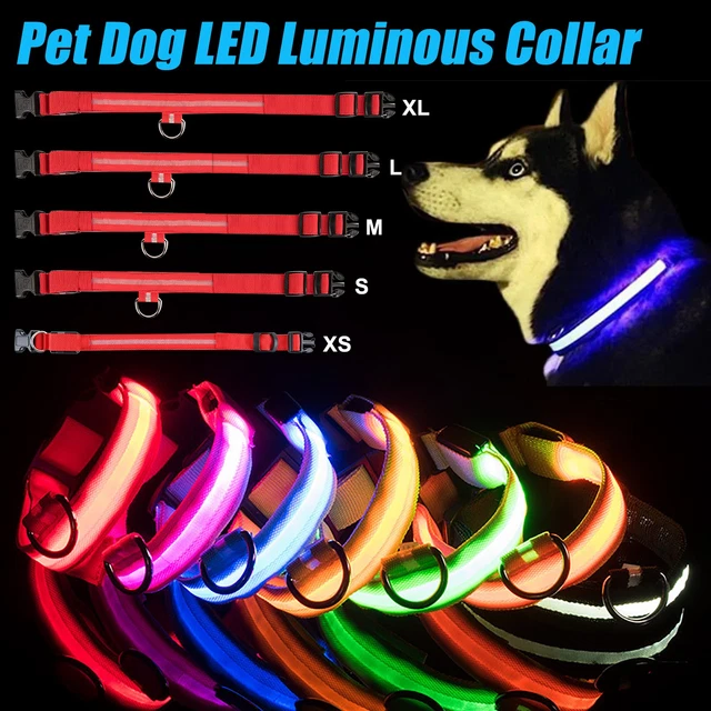 LED DOG COLLAR Nylon Glow Flashing Light Up Safety Pet Collars USB ...