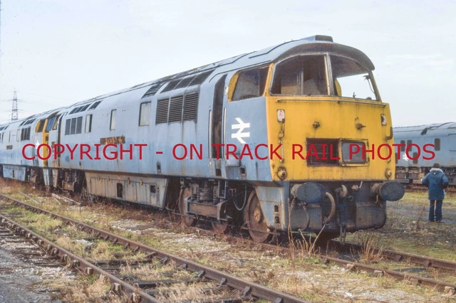 UK RAILWAY PHOTOGRAPH Of Class 52 Western D1005. Rm52-16 £1.70 ...