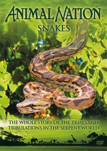 ANIMAL NATION - Snakes [DVD] - DVD ZKVG The Cheap Fast Free Post £6.03 ...