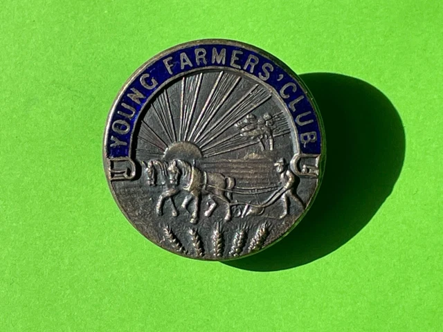VINTAGE YOUNG FARMERS Club Badge £4.90 - PicClick UK