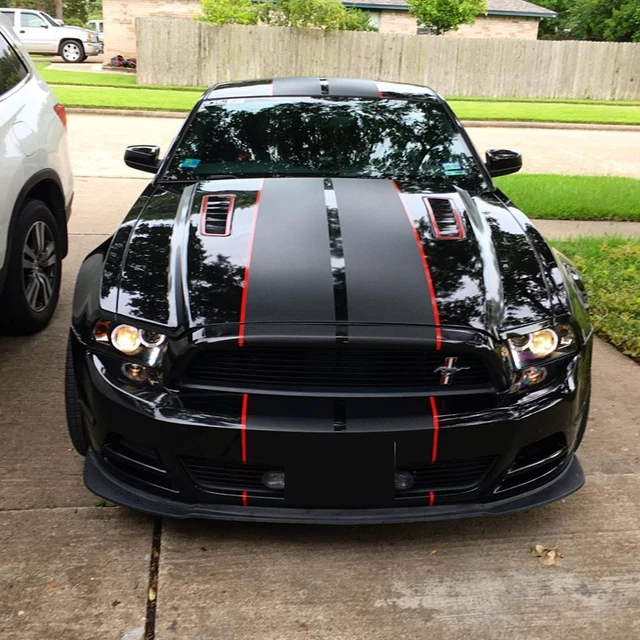FORD MUSTANG-SHELBY RACING PIN Stripes Decal Vinyl Sticker Viper ...