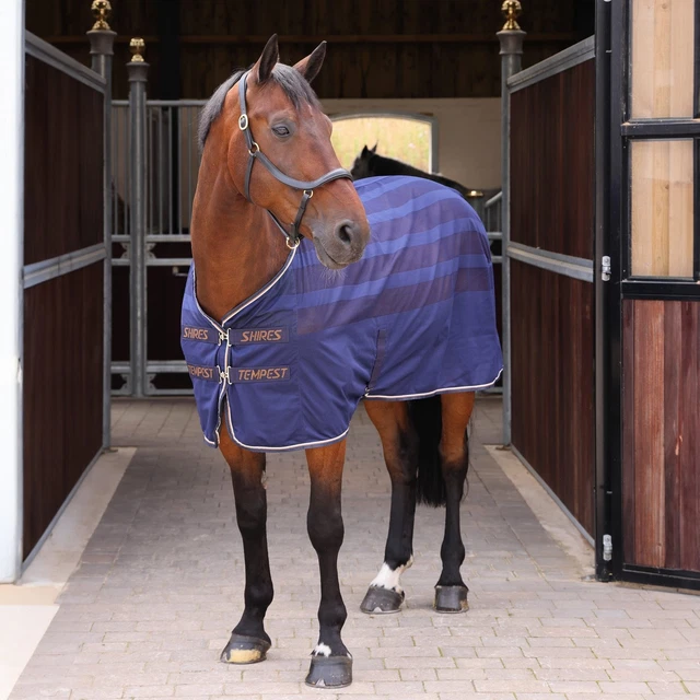 SHIRES TEMPEST ORIGINAL Scrim Cooler Horse Rug - Ink Blue - Super ...