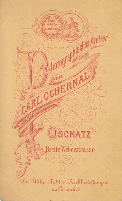 PORTRAIT MUTTER - Junge Dame mit Hochsteckfrisur, Fotografie. Fotobild ...